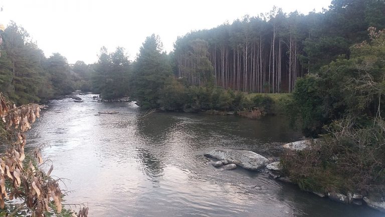 Viagem para casal em SC: 12 lugares românticos em Santa Catarina